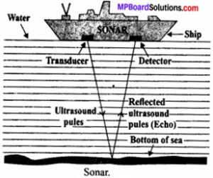 MP Board Class 9th Science Solutions Chapter 12 Sound – MP Board Solutions