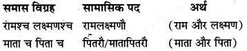 MP Board Class 10th Sanskrit व्याकरण समास-प्रकरण – MP Board Solutions
