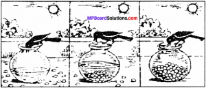 MP Board Class 10th Special English Composition: Visual Stimulus – MP ...