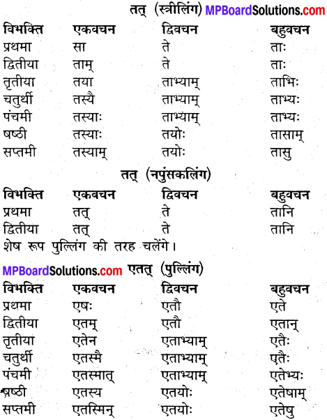 MP Board Class 9th Sanskrit व्याकरण शब्द रूप – MP Board Solutions
