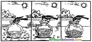 MP Board Solutions – MP Board Solutions for Class 6 to 12