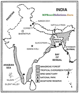 MP Board Class 9th Social Science Important Questions Unit 6 Map ...